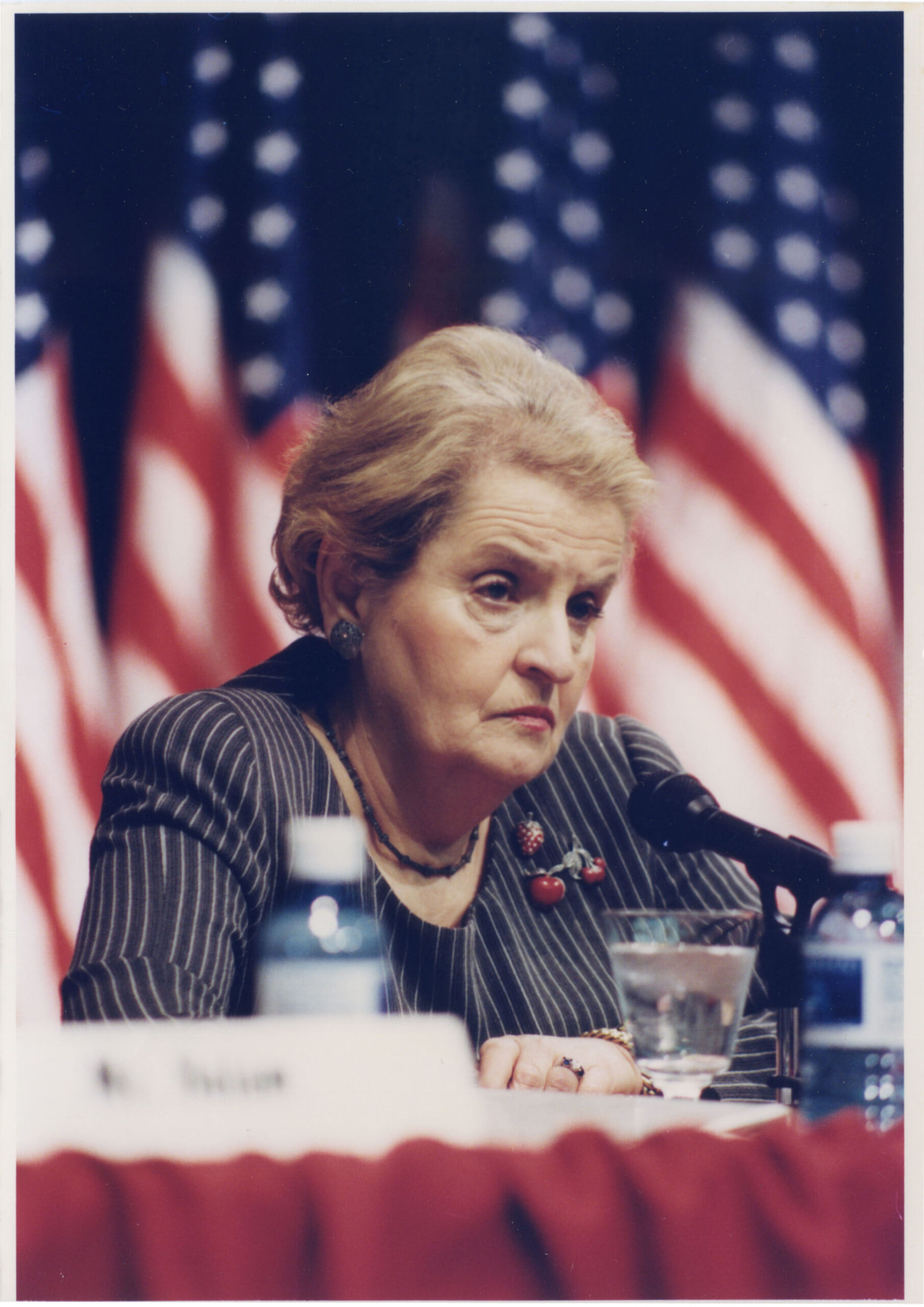 Fruit and Veggie Pins - Read My Pins: The Madeleine Albright Collection