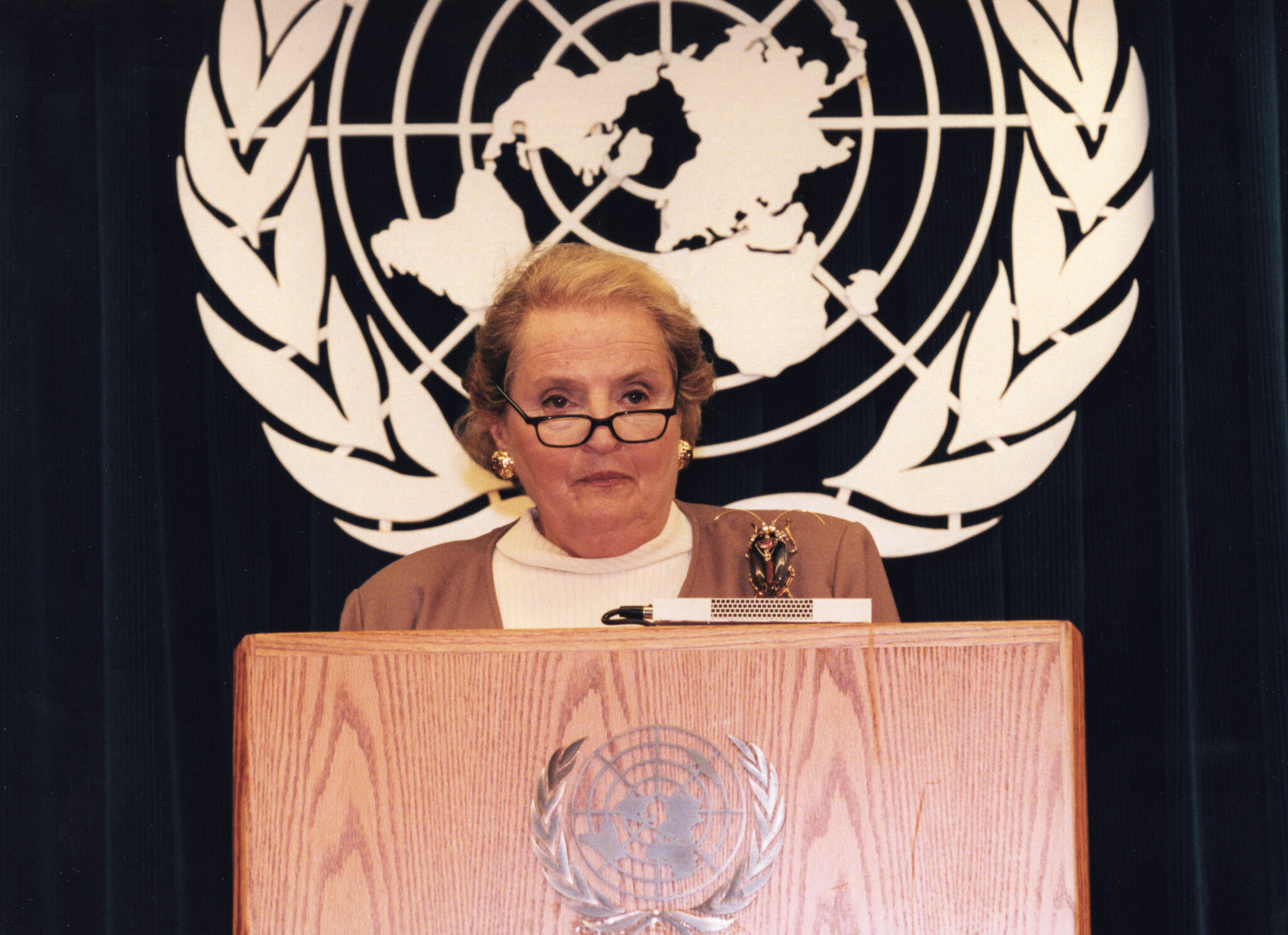 Bug Pin - Read My Pins: The Madeleine Albright Collection